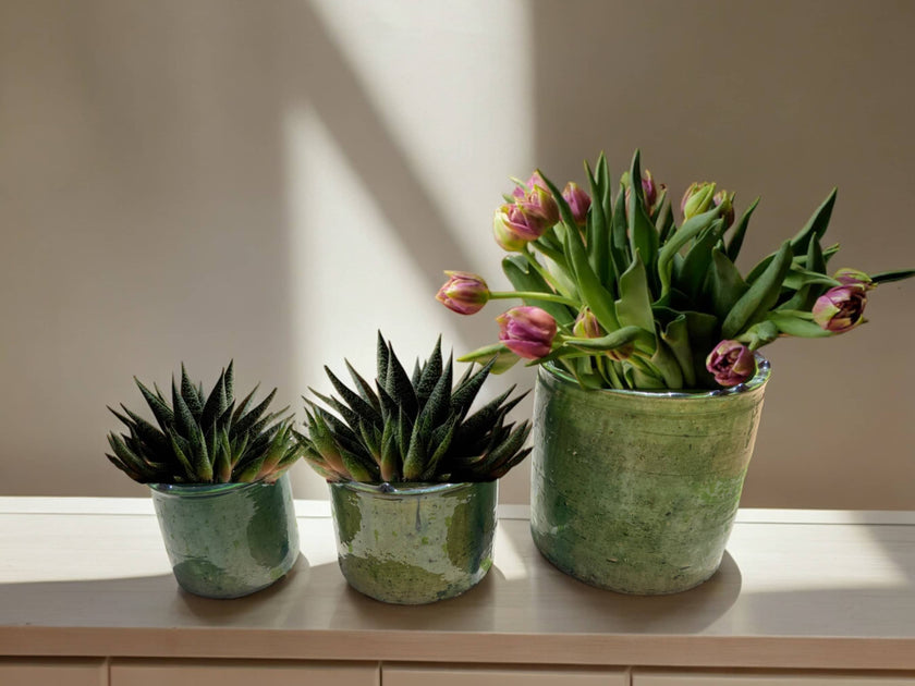 Vases & Pots – Moroccantastics